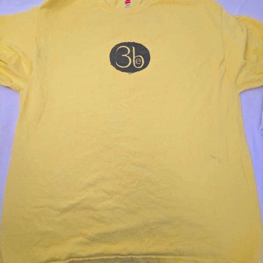 Third Eye Blind 2019 Summer God Concert Tee -Tour Dat… - Gem